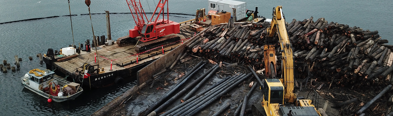 Port of Seattle Restores Habitat and Removes Over 2,000 Creosote ...