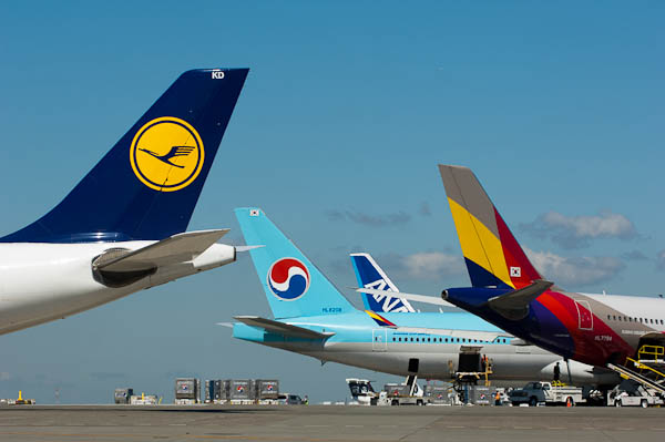 Seatac Airline Route Map