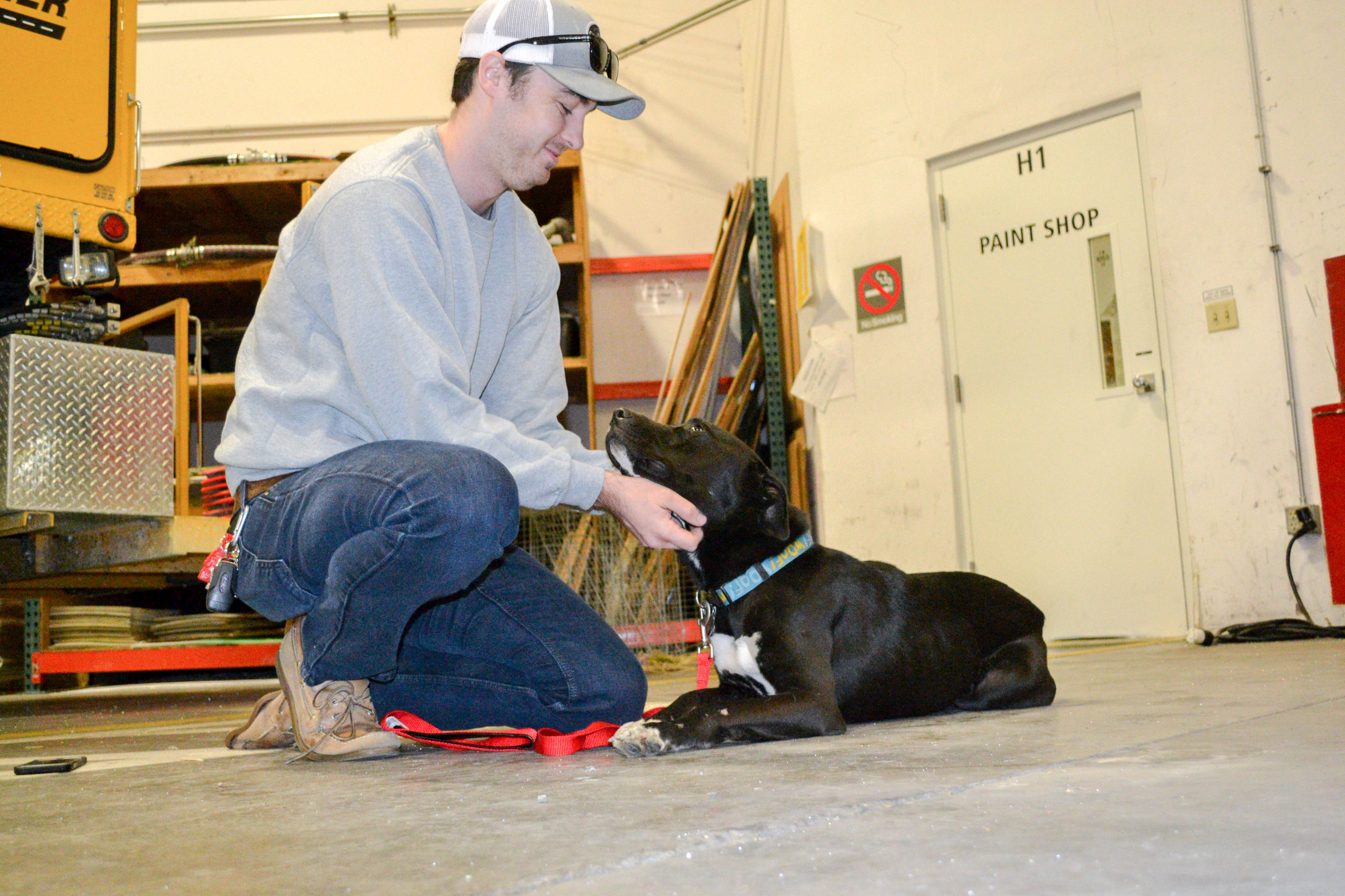 Shipping or picking up a live animal | Port of Seattle