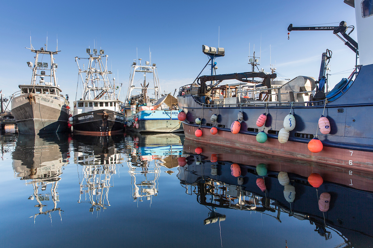 Commercial Fishing Feeds the World during COVID-19 | Port of Seattle