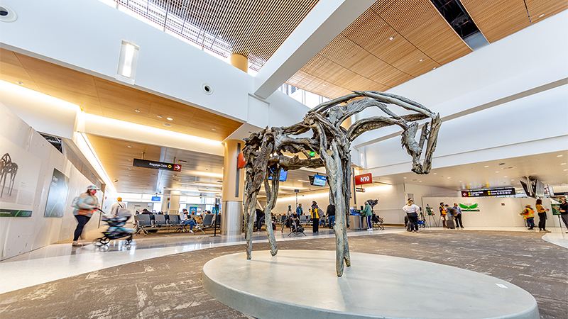 Stepping into the Modern SEA Airport! First Gates Open in Long-Awaited ...