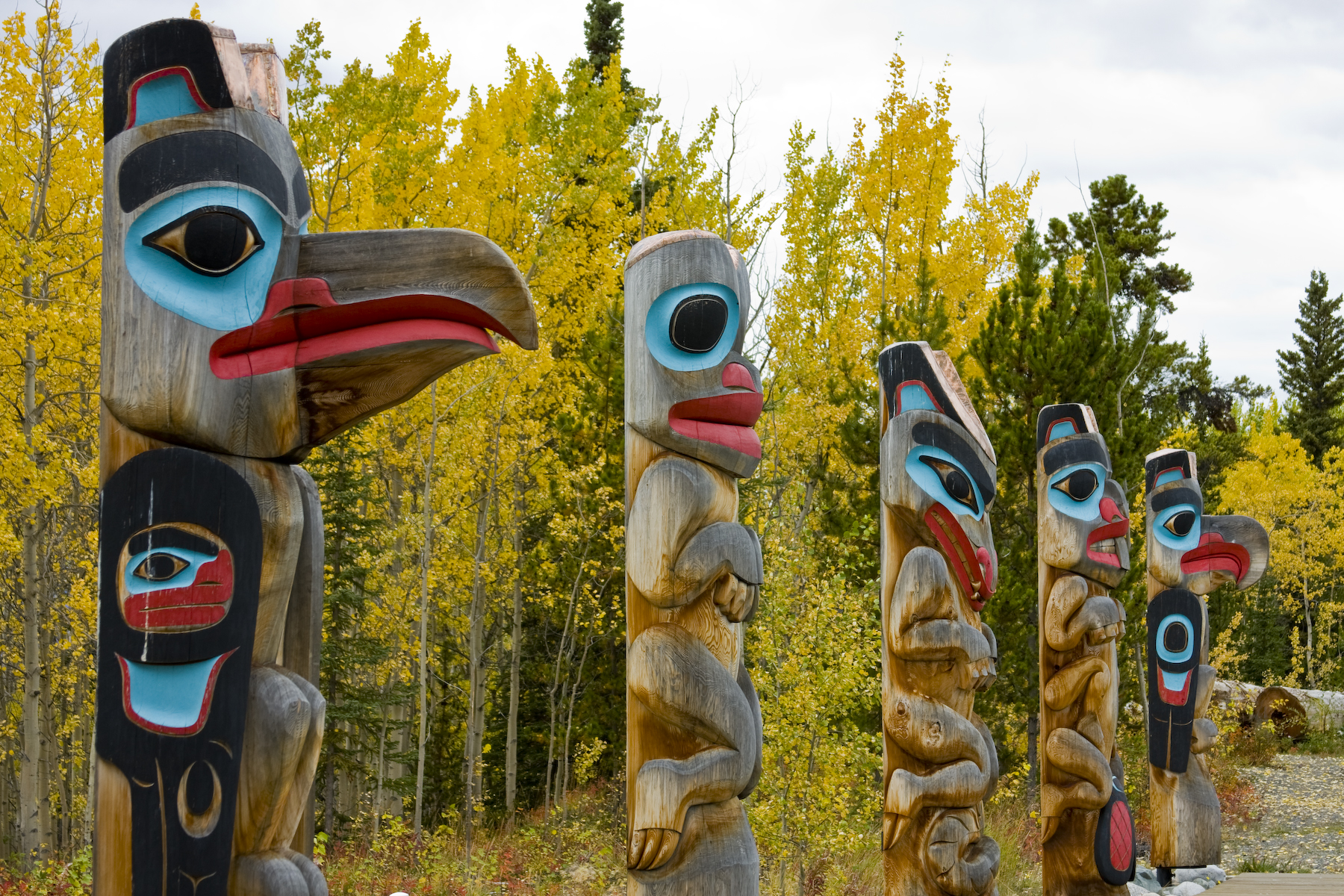 What Does it Mean to Us to Be Indigenous? | Port of Seattle
