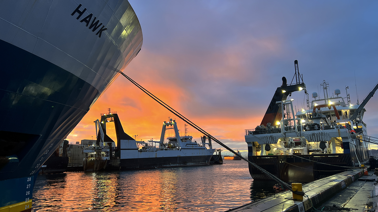 Ship Spotting at Terminal 91 | Port of Seattle