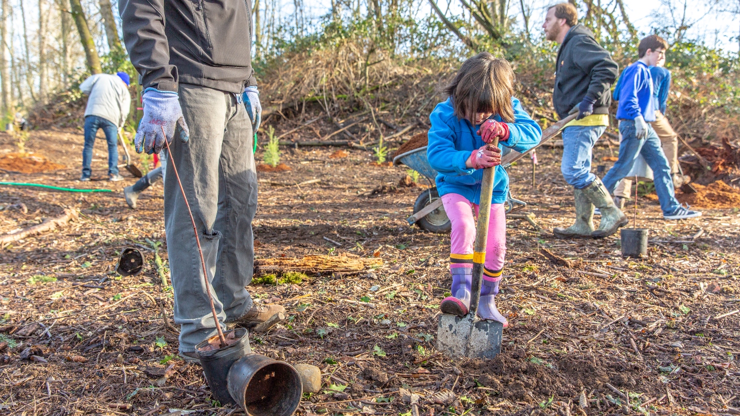 Land Stewardship Principles Formalize Strategies For Port Environmental