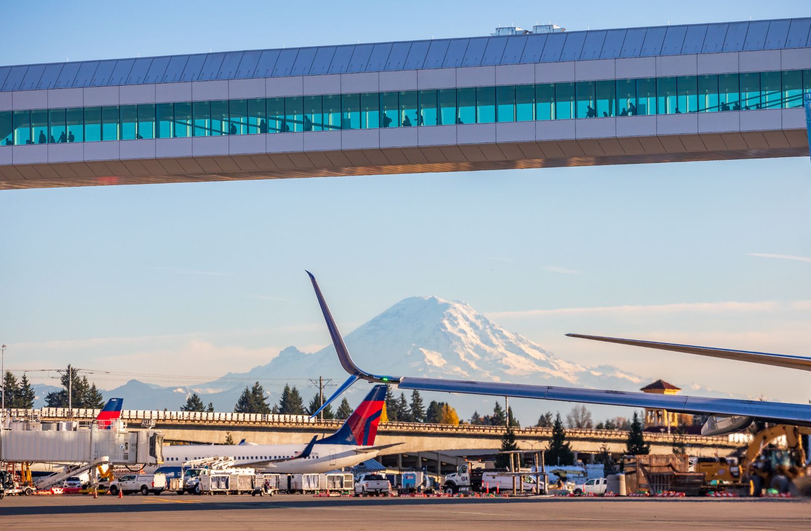 Six Travel Tips for International Arrivals at SEA | Port of Seattle