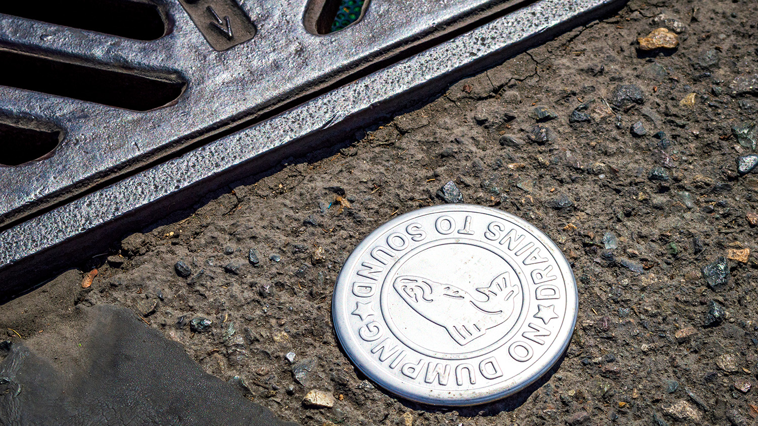 How the Port is Revitalizing its Marine Stormwater System | Port of Seattle