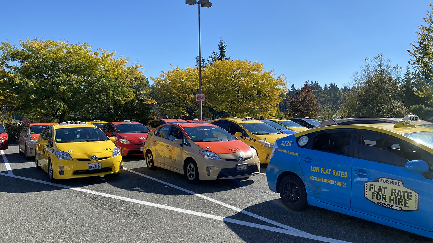 Supporting SEA Taxi Drivers on Their Career Journeys | Port of Seattle