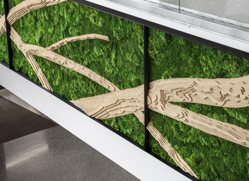 SEA Airport Art Reflects the Evergreen State | Port of Seattle