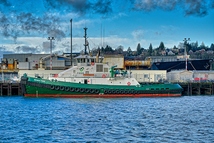 Ship Spotting at Terminal 91 | Port of Seattle