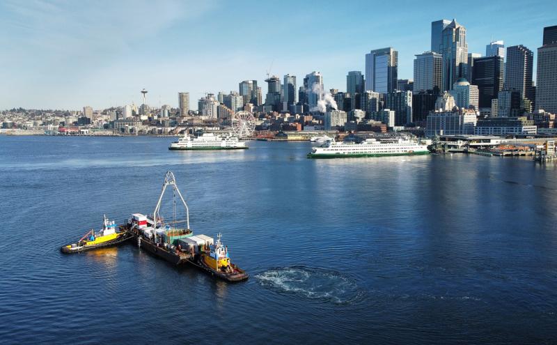 Transforming Puget Sound Ecosystems with Oysters, Kelp, and Eelgrass ...