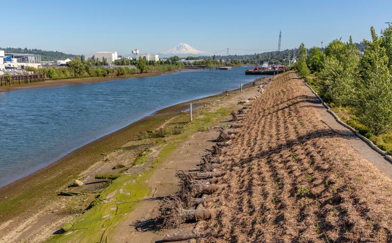 Habitat Restoration and Mitigation Banking | Port of Seattle