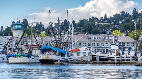 Fishermen's Terminal | Port of Seattle