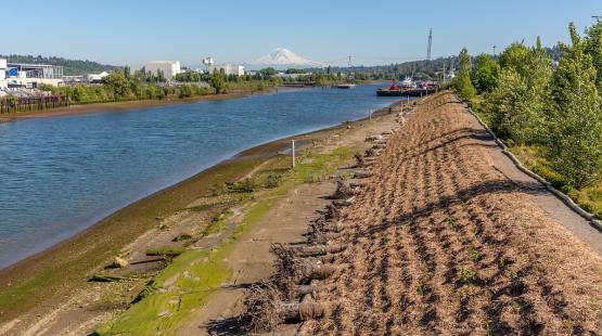 Environment and Sustainability | Port of Seattle