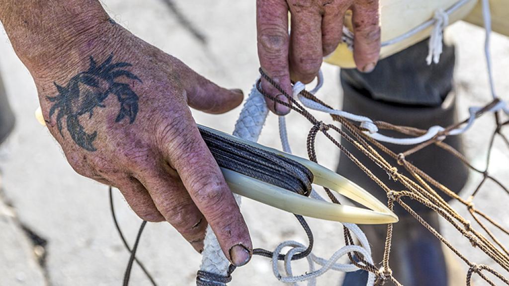 Fishermen's Terminal | Port of Seattle